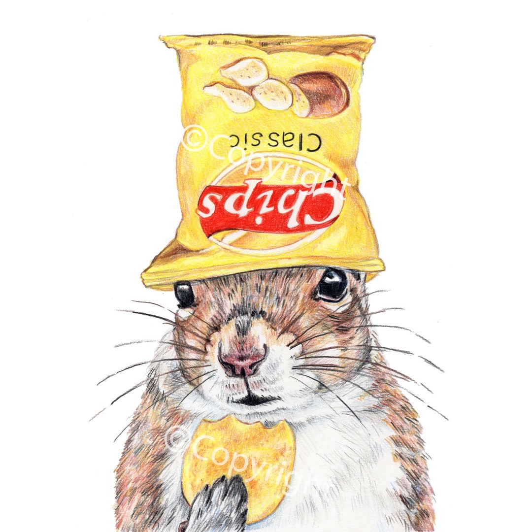 Coloured Pencil Drawing of a Chipper Squirrel Wearing a Potato Chip Bag ...