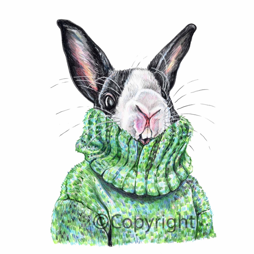 Bunny Rabbit Wearing a Sweater Fine Art Print of an Original Coloured ...