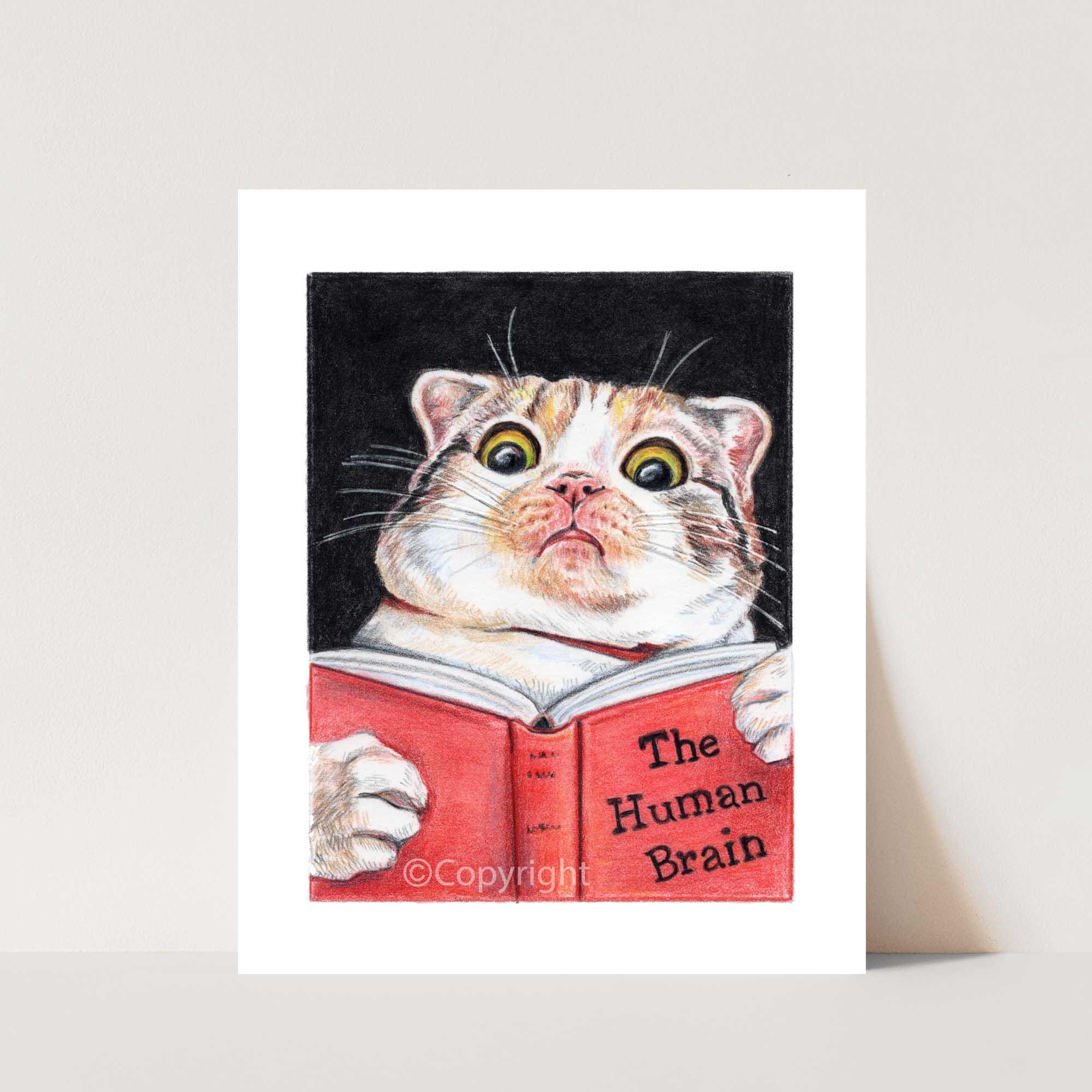 Calico Cat Reading a Book About the Human Brain Art Print - Etsy