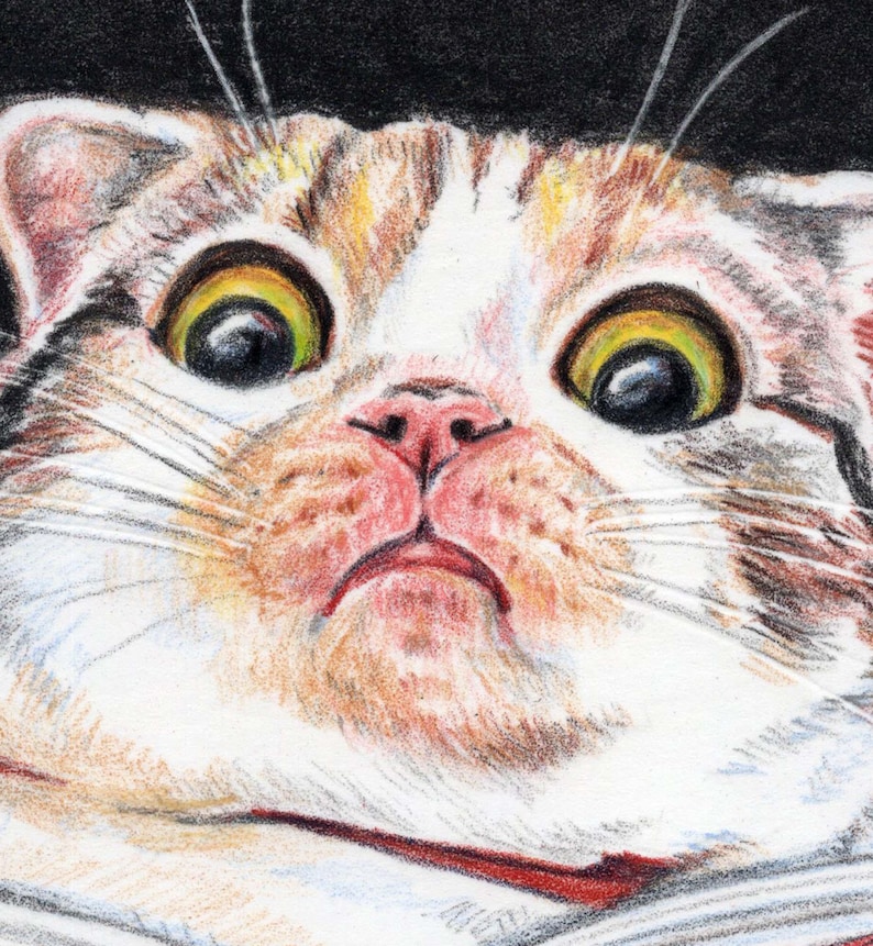 Calico Cat Reading a Book About the Human Brain Art Print - Etsy