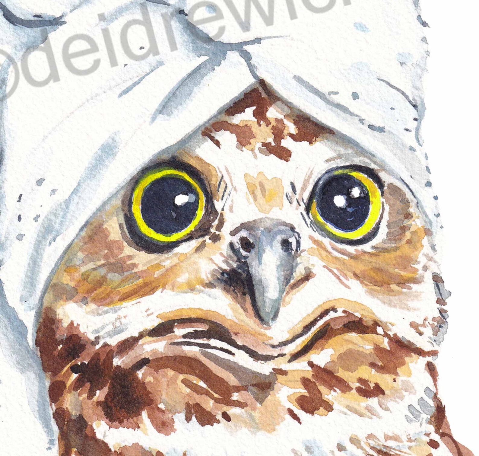 Owl at the Spa Watercolour Painting PRINT - Animal Bathroom Decor - Etsy