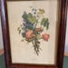 Vintage Sidney Z. Lucas Botanical Print – J.L. Prévost Floral ...