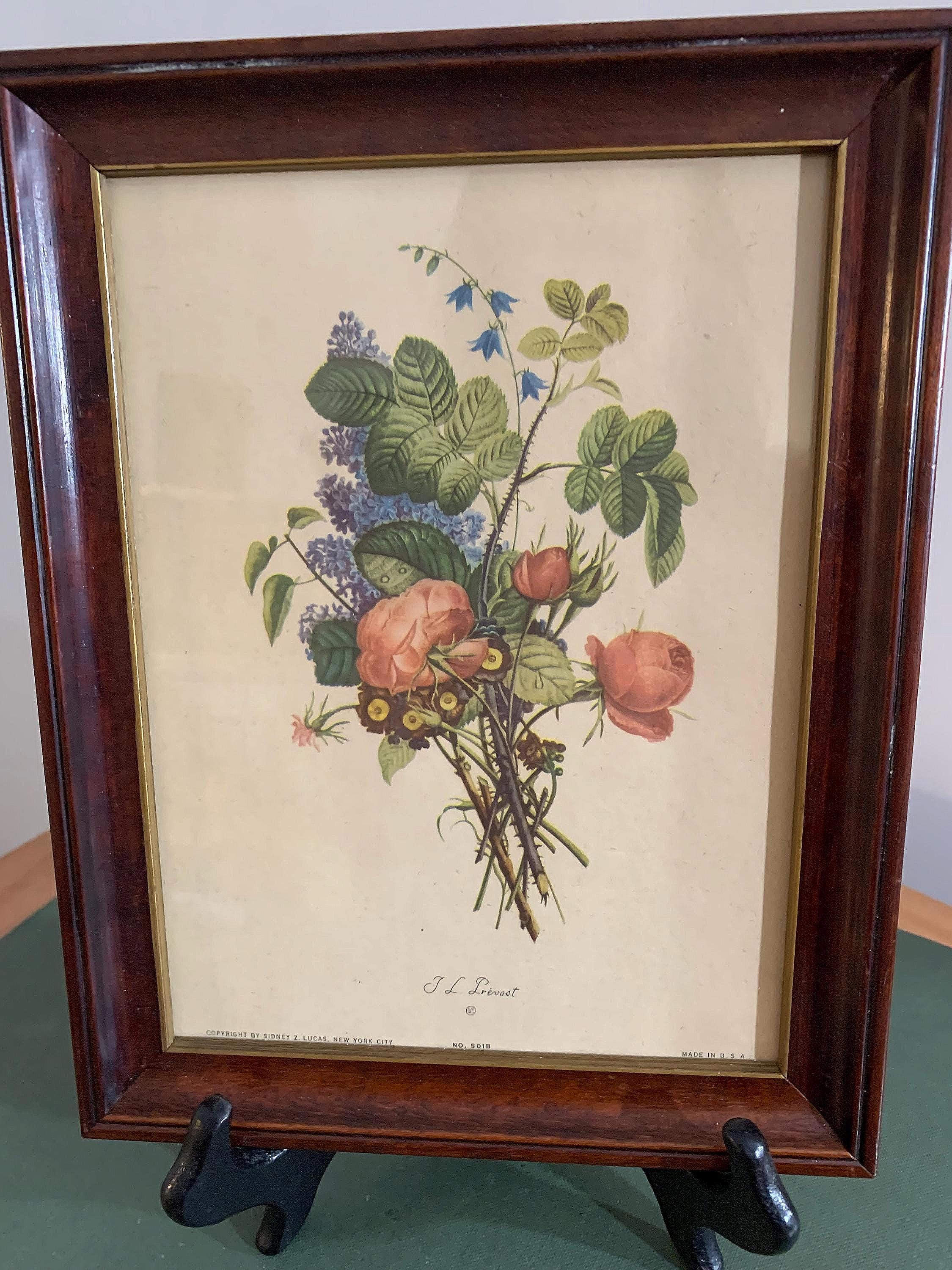 Vintage Sidney Z. Lucas Botanical Print – J.L. Prévost Floral ...