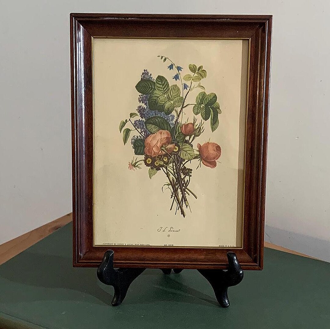 Vintage Sidney Z. Lucas Botanical Print – J.L. Prévost Floral ...