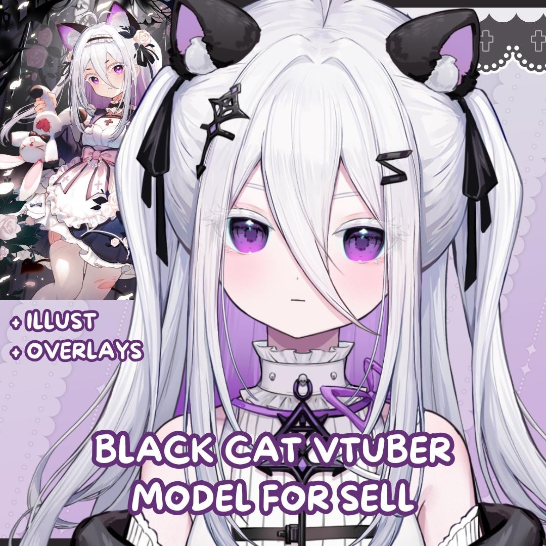 LIVE 2D Model Black Cat Girl Vtuber Model for Sell [premade Vtuber Model/youtube Twitch Stream ...