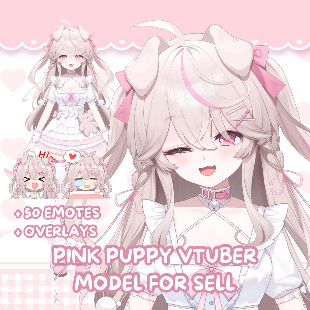 LIVE 2D Model Pink Puppy Girl Vtuber Model for Sell [premade Vtuber ...