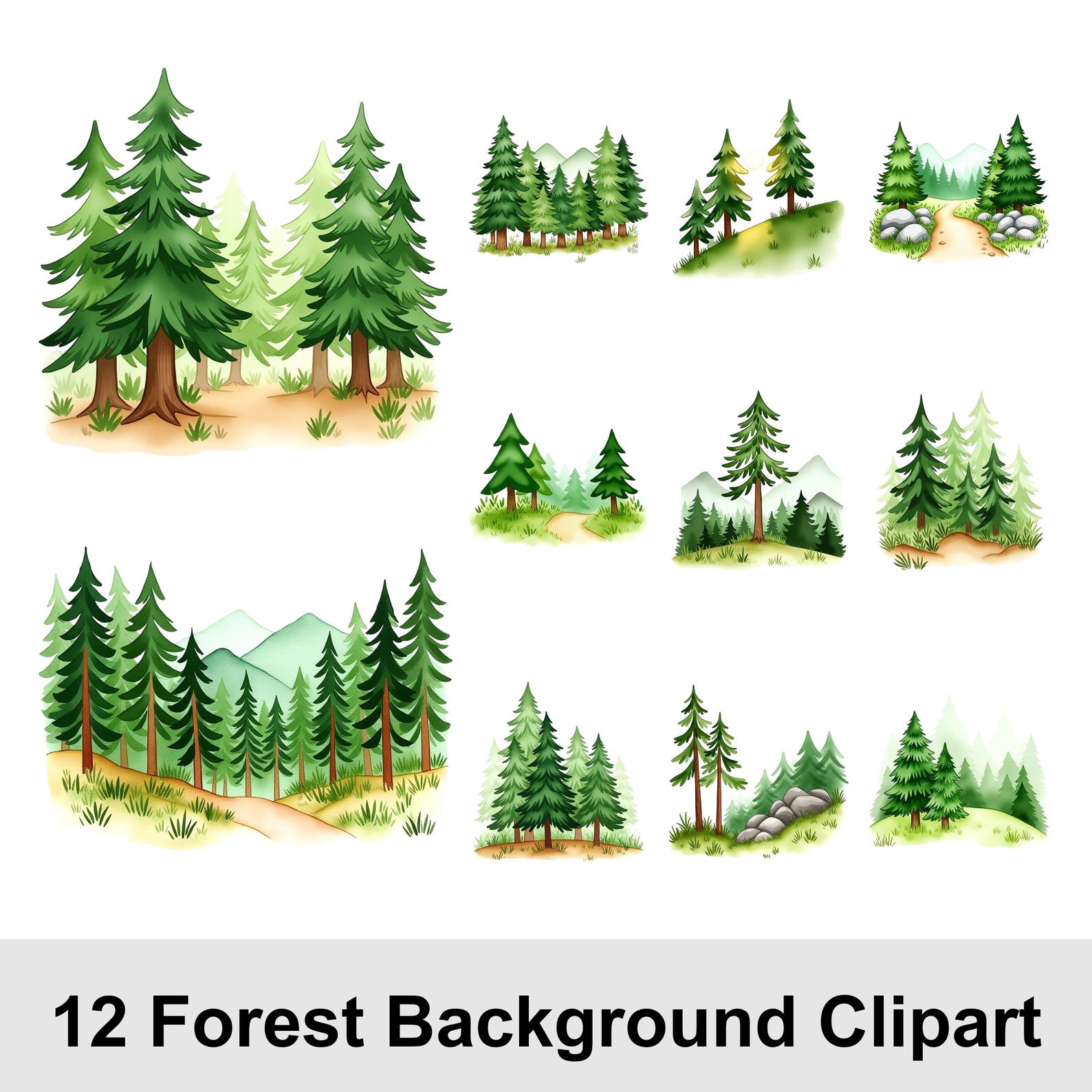 12 Watercolor Forest Tree Clipart PNG | Whimsical Woodland Pine Trees ...