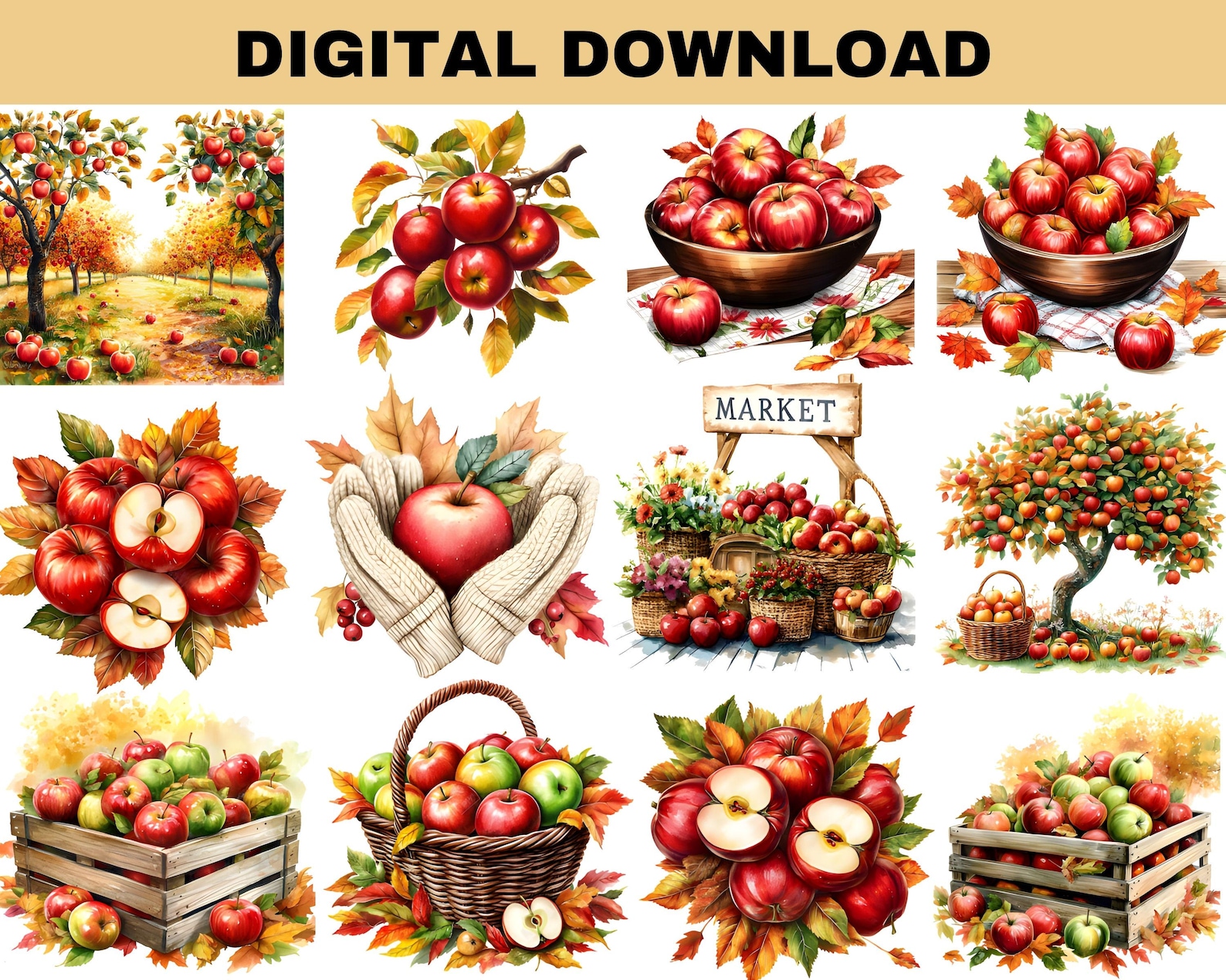 Watercolor Apple Clipart Bundle, Apple Tree, Red Apple Illustrations ...