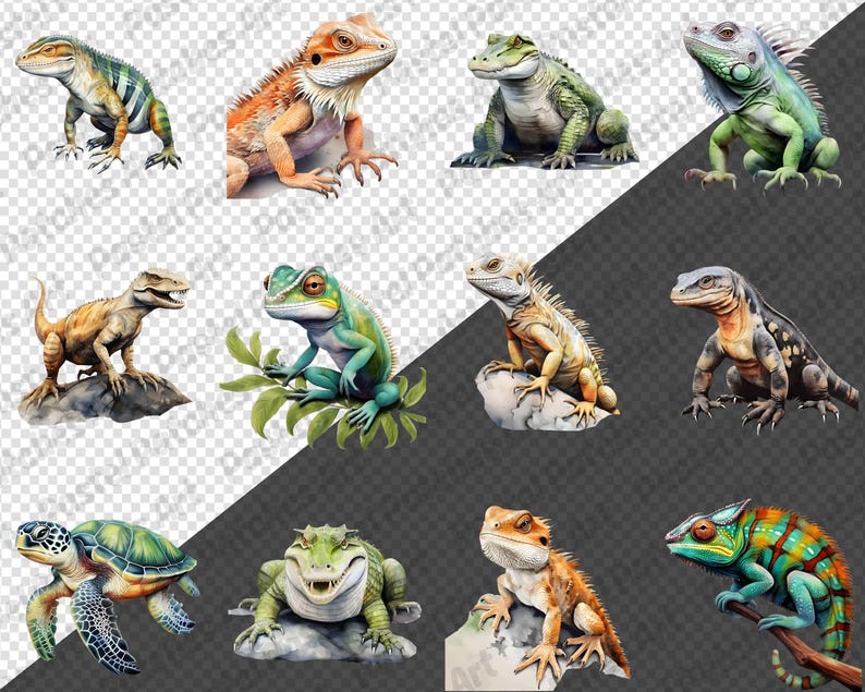 Watercolor Reptile Clipart PNG Bundle: Chameleon, Lizard, Snake, Turtle ...