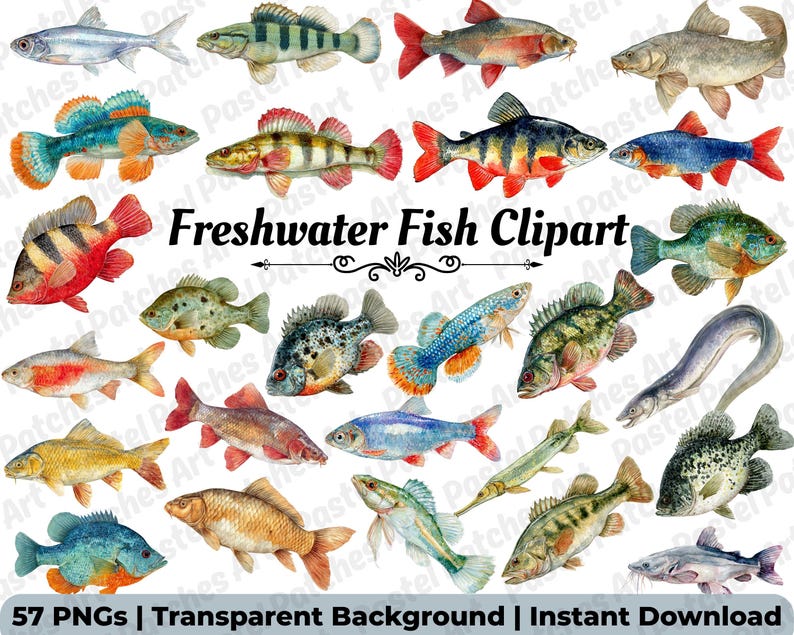 Freshwater Fish Clipart Bundle - Watercolor Ocean Bass Trout, Fisherman ...