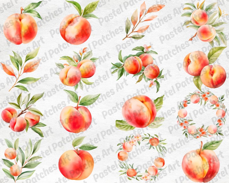 Peach Watercolor Clipart, Fresh Peach PNG, Peach Tree Illustrations ...