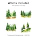 12 Watercolor Forest Tree Clipart PNG | Whimsical Woodland Pine Trees ...