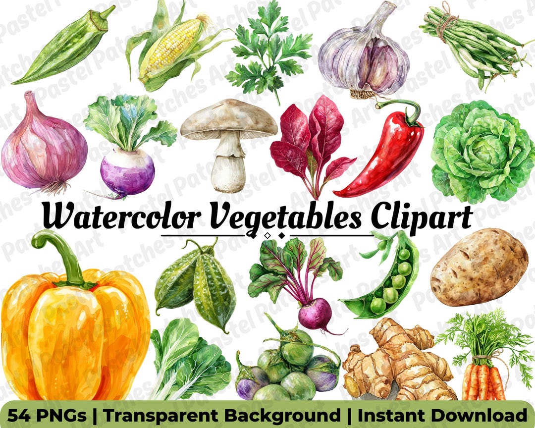 Watercolor Vegetables Clipart Bundle, 50+ Garden Vegetable Pngs, Cute ...