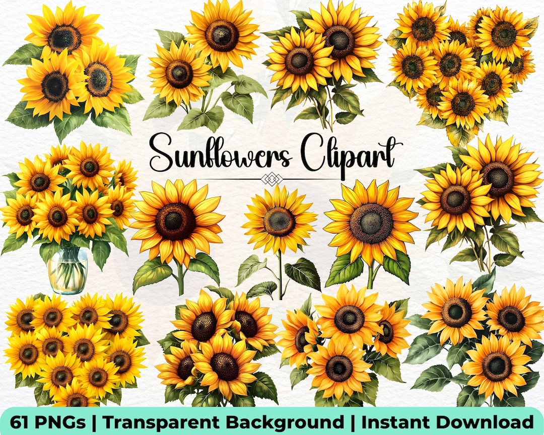 30 PNG Watercolor Sunflowers Clipart Bundle, Sunflower Wreaths, Floral ...