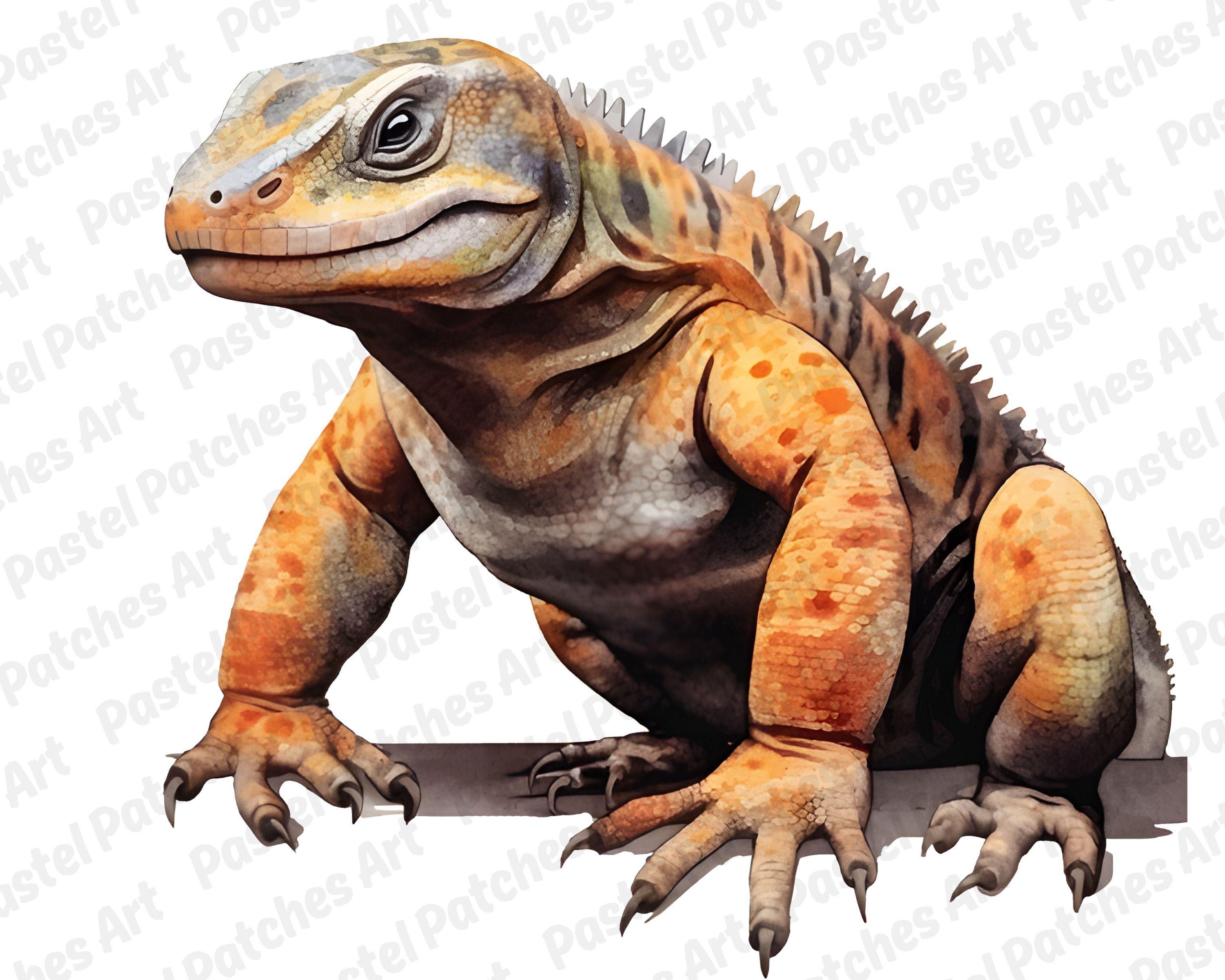 Watercolor Reptiles Clipart | Lizard, Snake & Turtle Art Bundle ...
