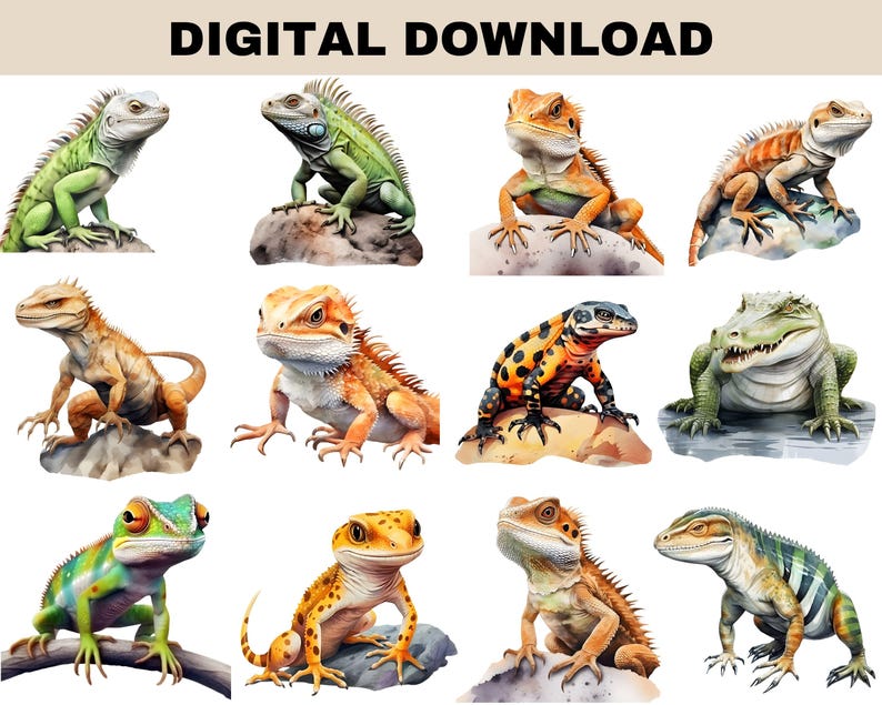 Watercolor Reptiles Clipart | Lizard, Snake & Turtle Art Bundle ...