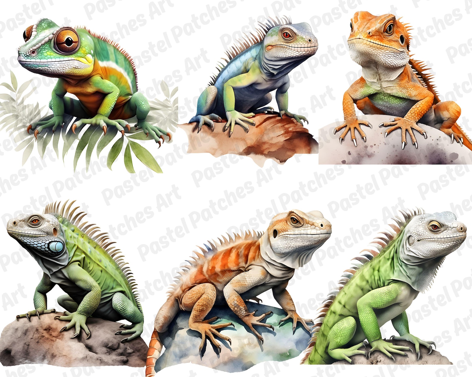 Watercolor Reptiles Clipart | Lizard, Snake & Turtle Art Bundle ...