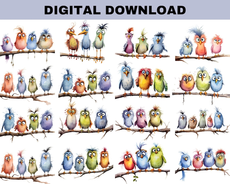 Funny Bird PNG Clipart for Stickers & Sublimation, Quirky Cartoon ...