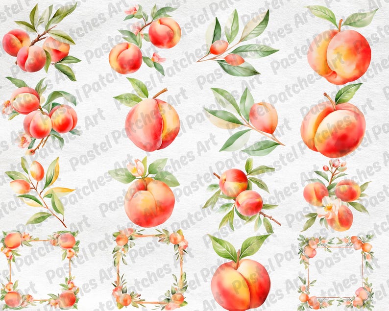 Peach Watercolor Clipart, Fresh Peach PNG, Peach Tree Illustrations ...