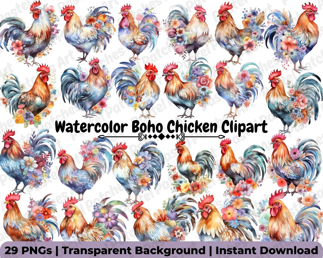 Watercolor Boho Chicken Clipart | Whimsical Floral Rooster PNG Bundle ...