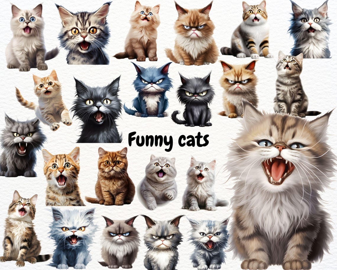 Funny Cat Clipart, Grumpy Cat Graphics, Cute Cats Clipart, Funny Animal ...