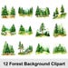 12 Watercolor Forest Tree Clipart PNG | Whimsical Woodland Pine Trees ...