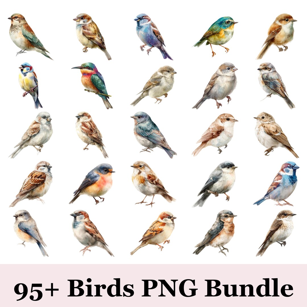 Watercolor Birds PNG Bundle 95+ | Realistic Bird Clipart | Garden ...