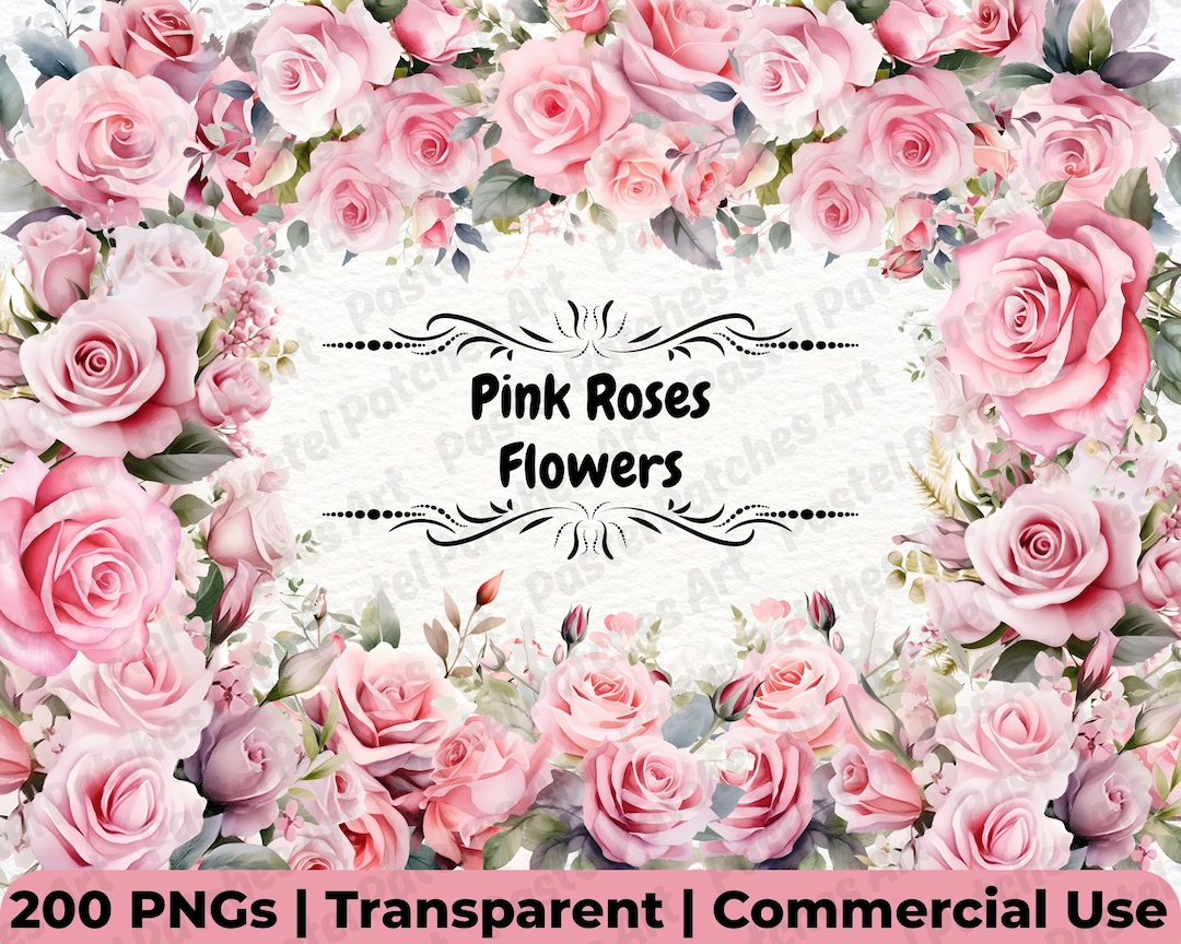 Pink Roses Flowers Clipart - 200 Floral Elements, Watercolor Floral ...