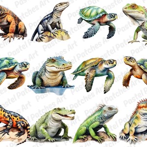 Watercolor Reptiles Clipart | Lizard, Snake & Turtle Art Bundle ...