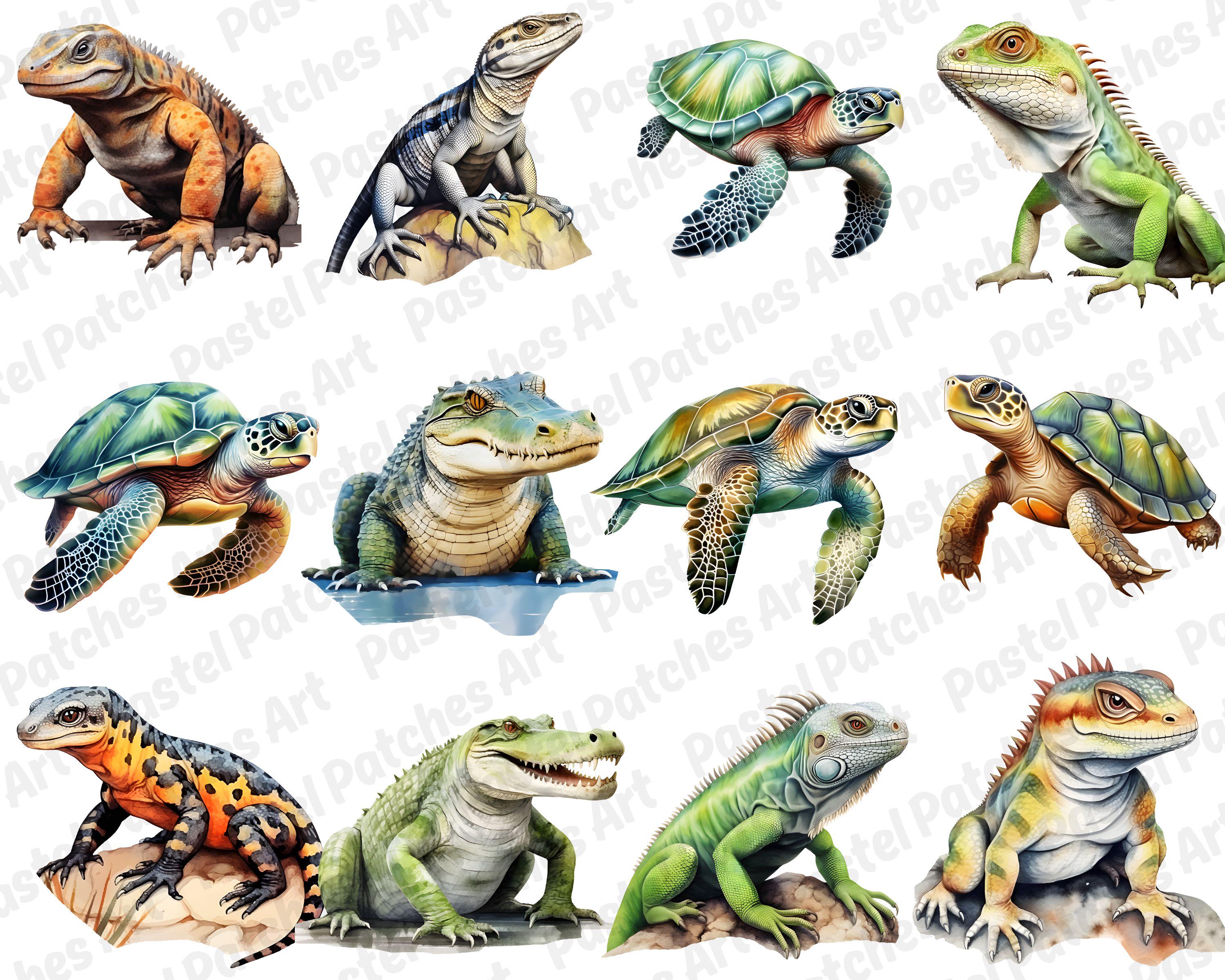 Watercolor Reptiles Clipart | Lizard, Snake & Turtle Art Bundle ...