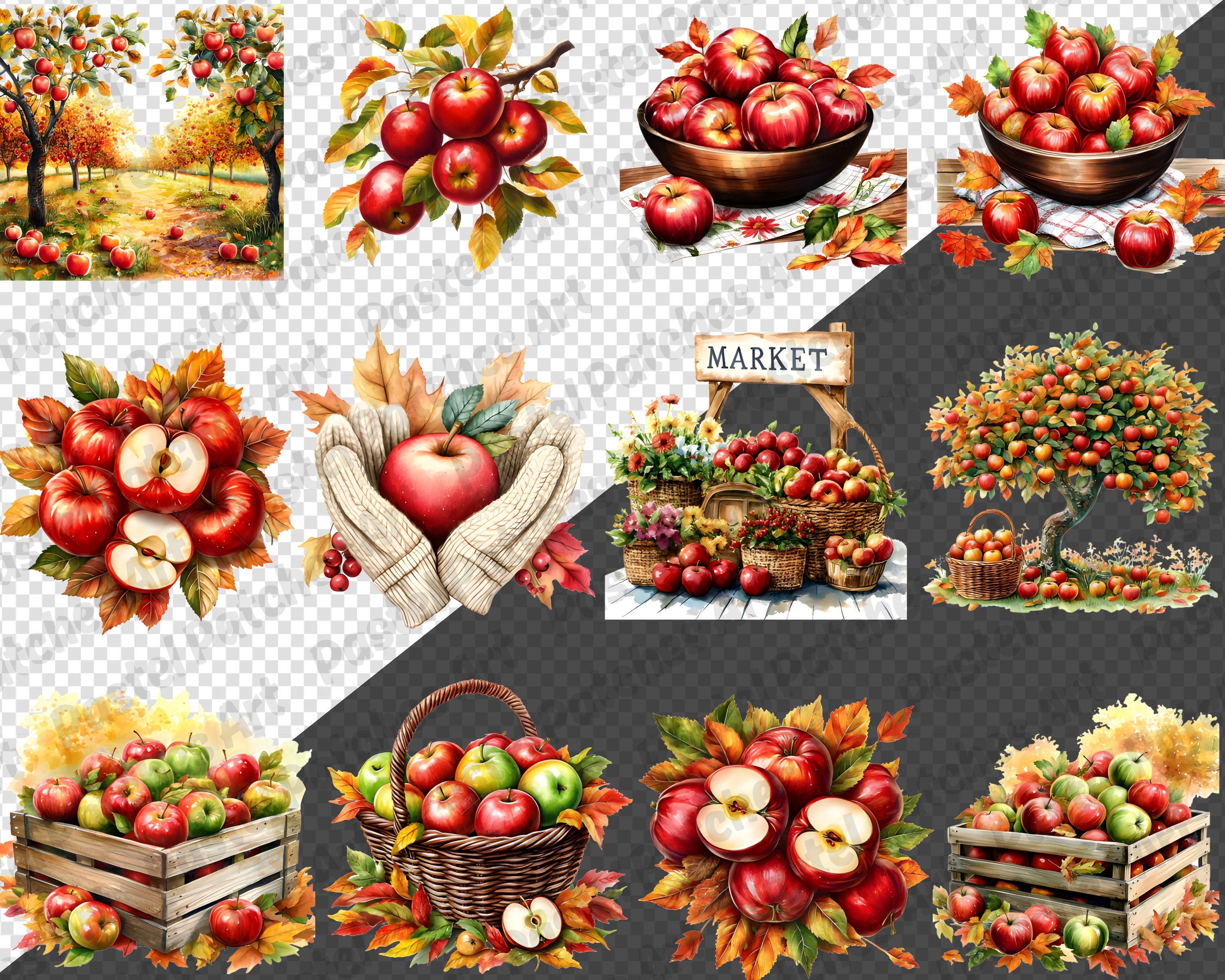 Watercolor Apple Clipart Bundle, Apple Tree, Red Apple Illustrations ...