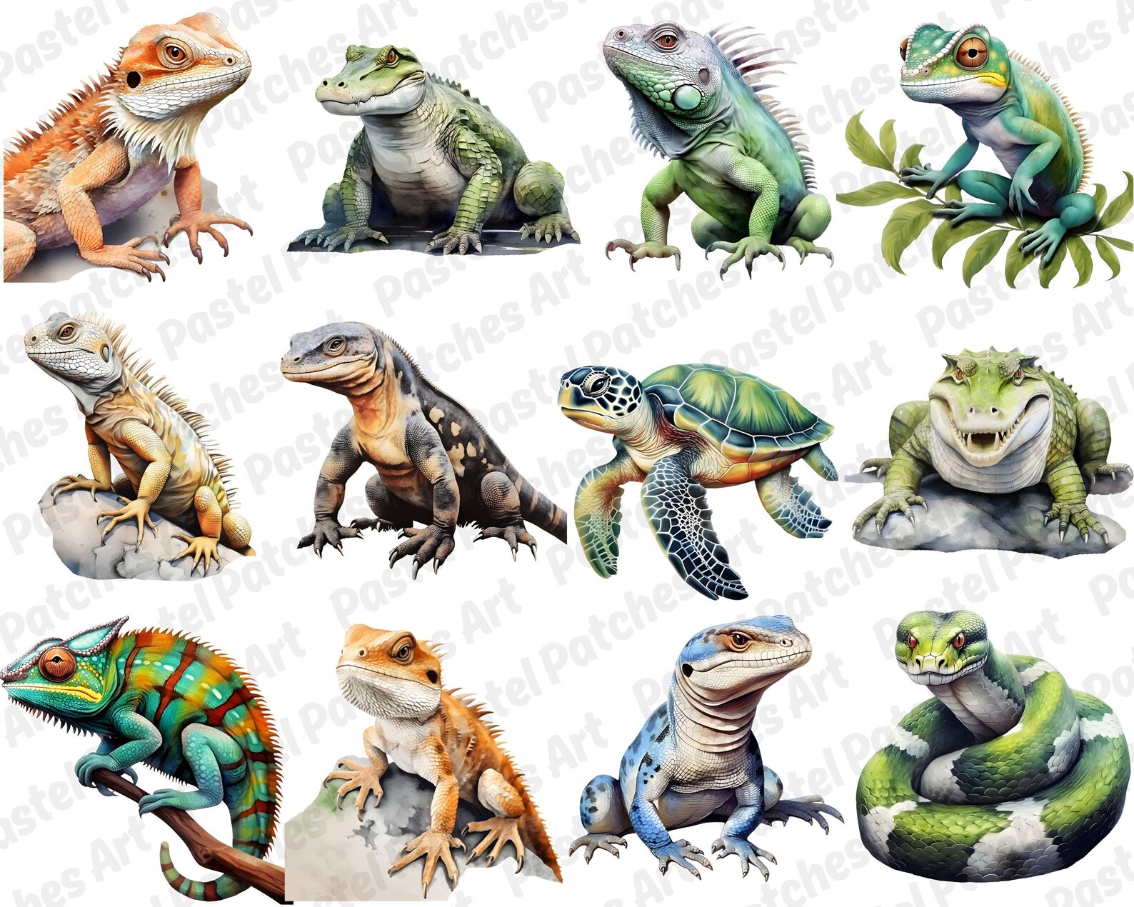 Watercolor Reptiles Clipart | Lizard, Snake & Turtle Art Bundle ...