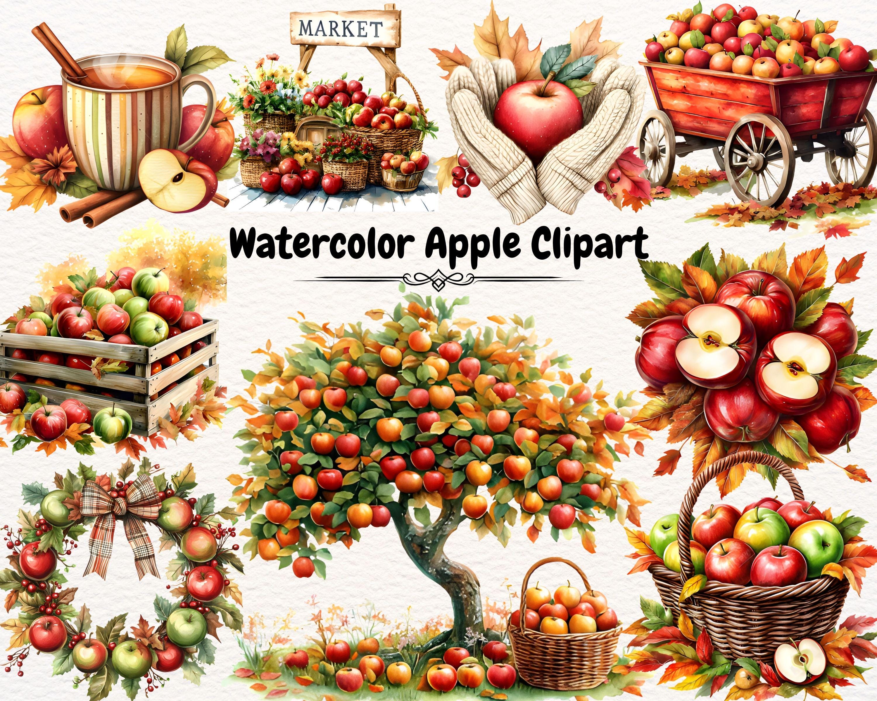 Watercolor Apple Clipart Bundle, Apple Tree, Red Apple Illustrations ...