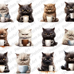 Grumpy Coffee Cat Clipart, Angry Cat Clipart, 25+ Moody Cat Images ...