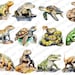 Watercolor Reptiles Clipart | Lizard, Snake & Turtle Art Bundle ...