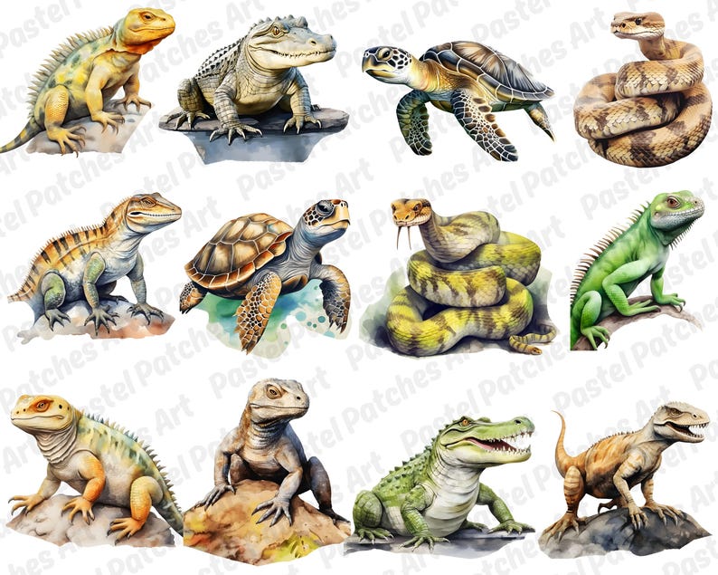 Watercolor Reptiles Clipart | Lizard, Snake & Turtle Art Bundle ...