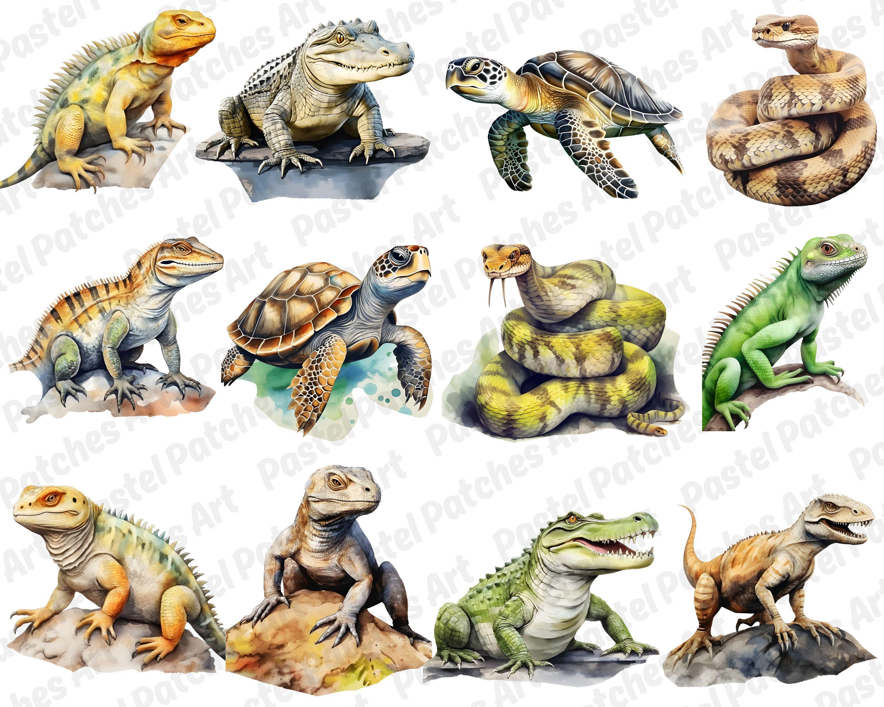 Watercolor Reptiles Clipart | Lizard, Snake & Turtle Art Bundle ...