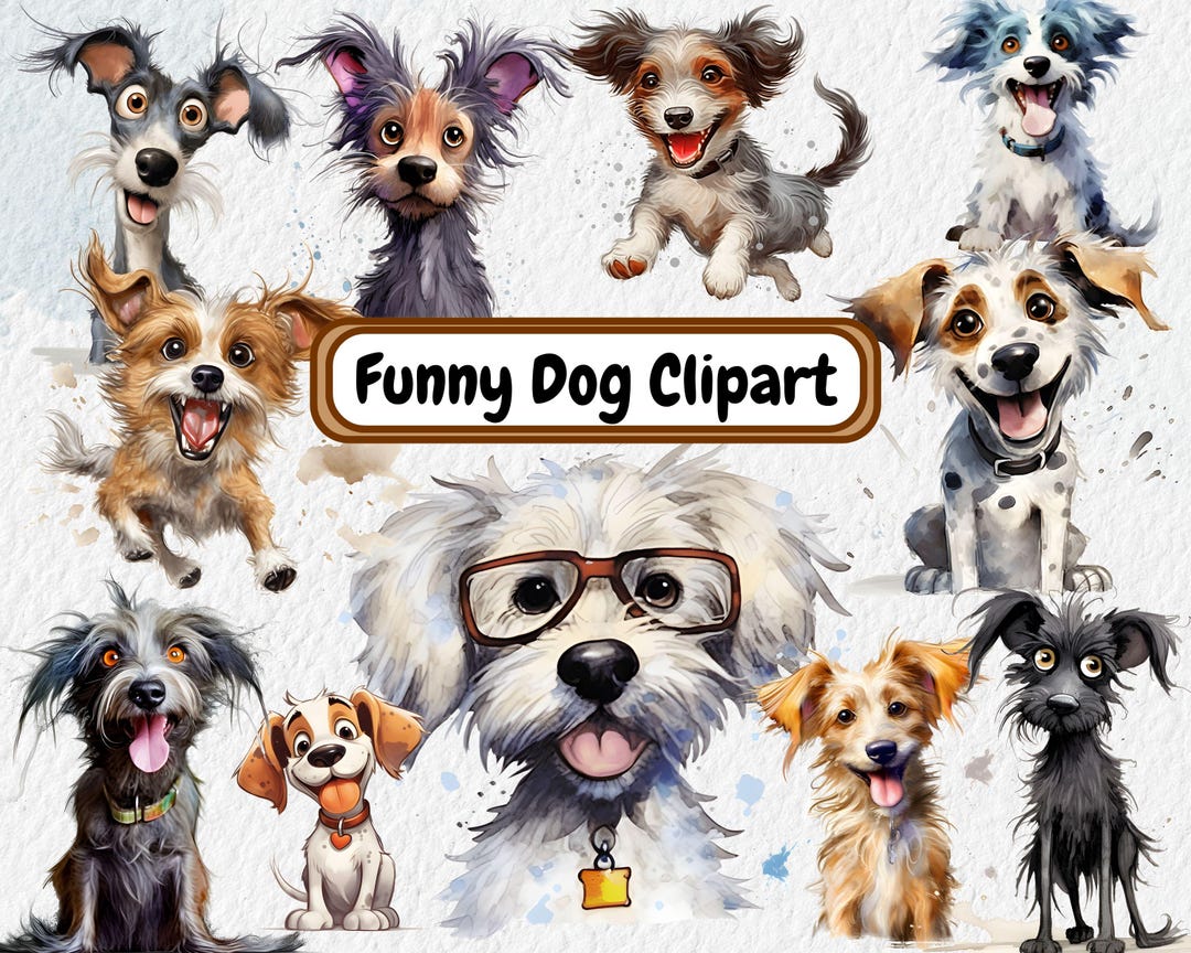Funny Grumpy Dog Clipart PNG, Sassy Puppy With Party Hat, Humorous ...