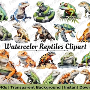 Watercolor Reptiles Clipart | Lizard, Snake & Turtle Art Bundle ...