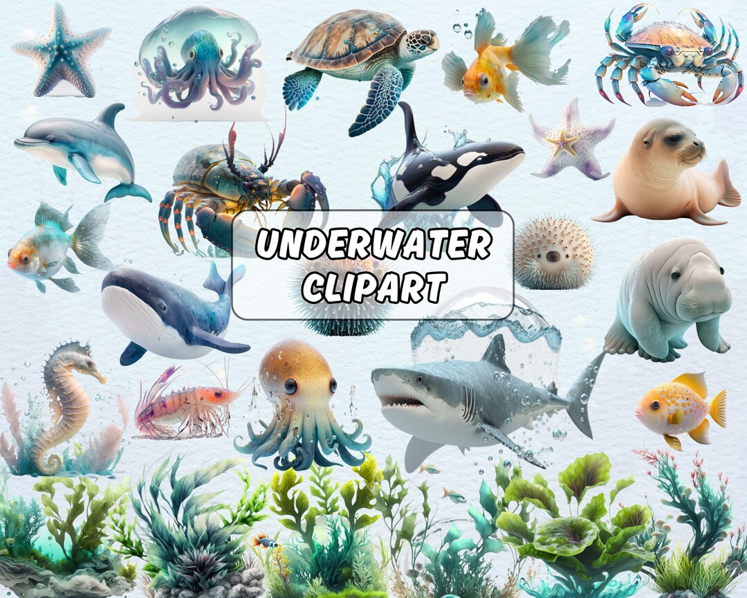 Cute Undersea Watercolor Clipart Bundle, Ocean Animal Pngs for Nursery ...