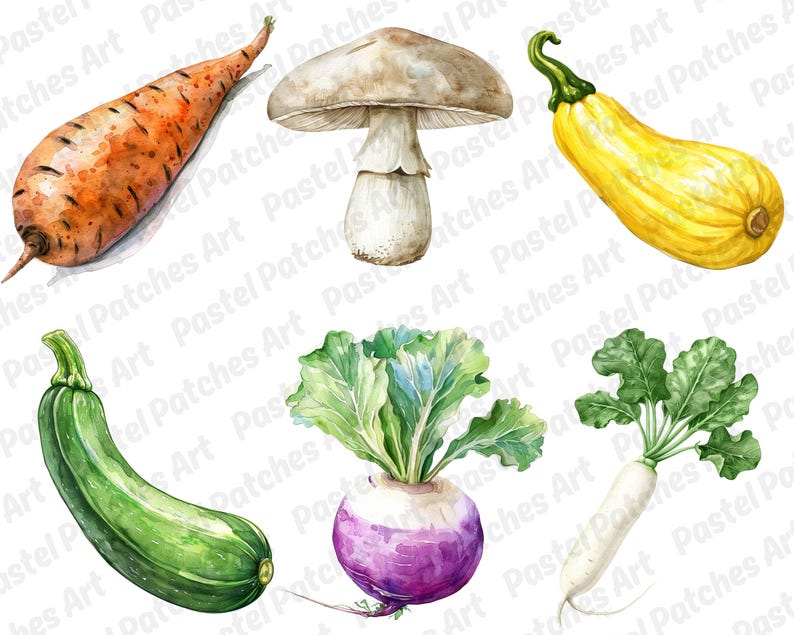 Watercolor Vegetables Clipart Bundle, 50+ Garden Vegetable Pngs, Cute ...