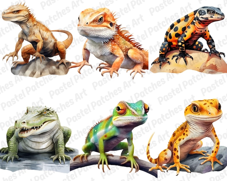 Watercolor Reptiles Clipart | Lizard, Snake & Turtle Art Bundle ...