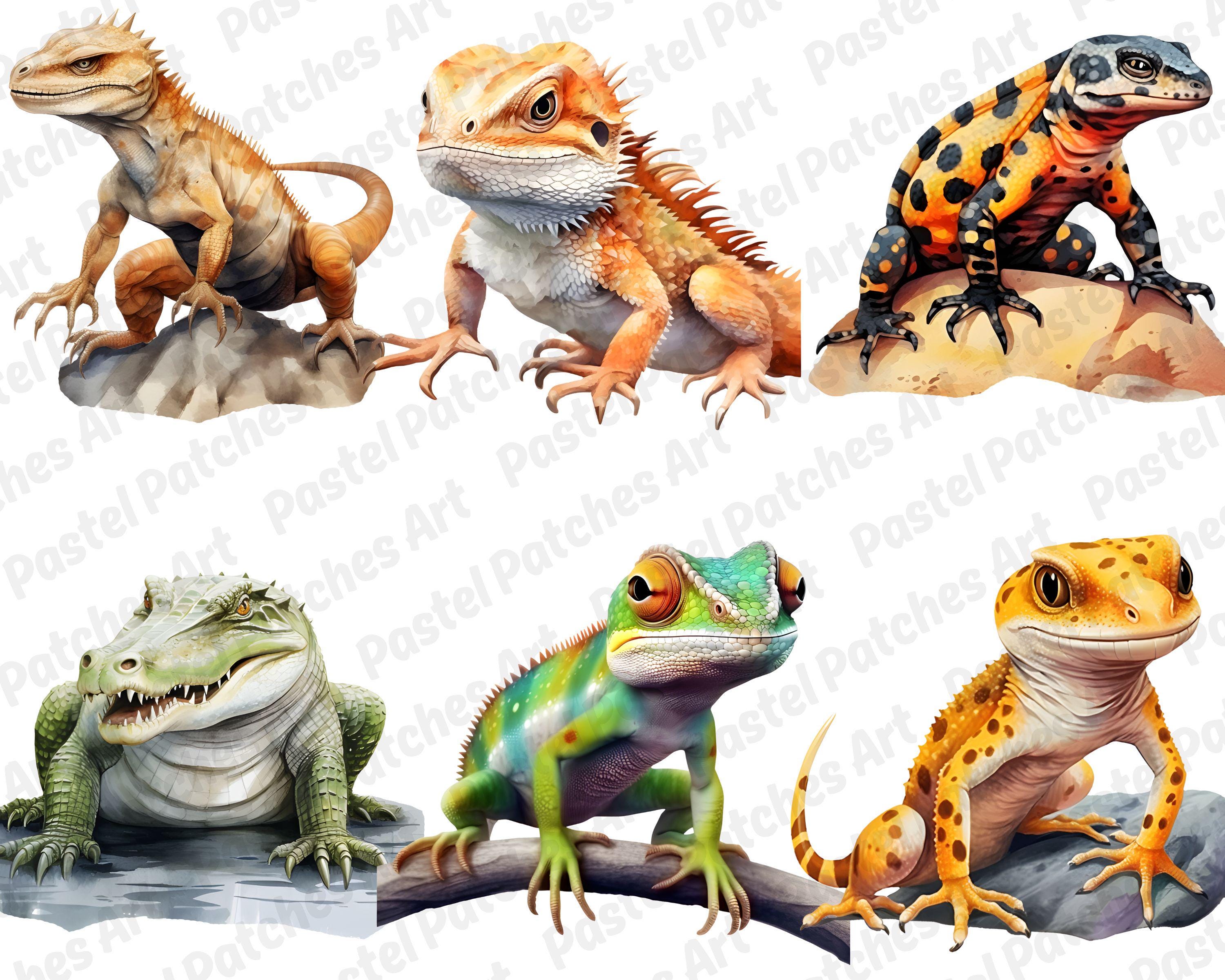 Watercolor Reptiles Clipart | Lizard, Snake & Turtle Art Bundle ...