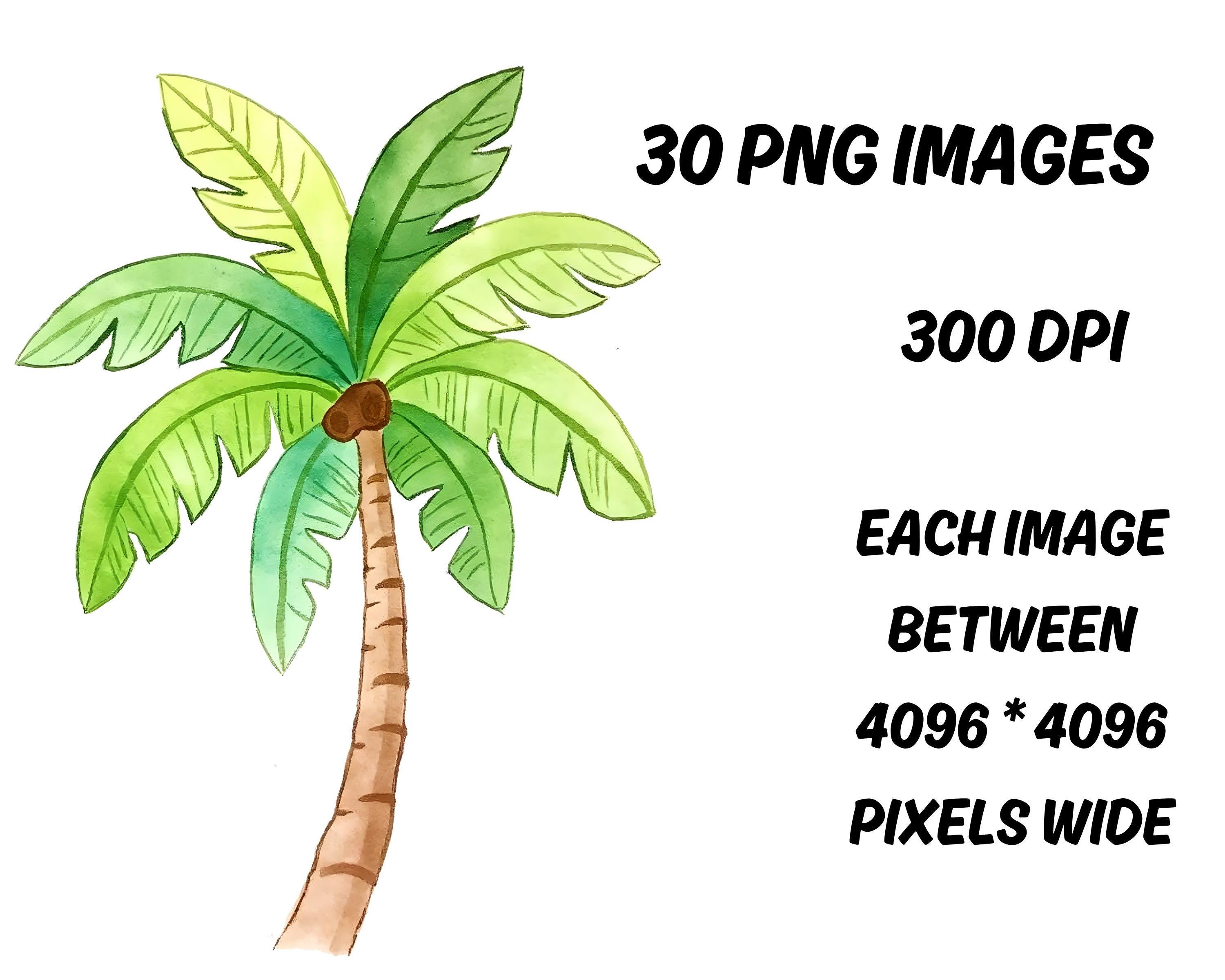 Watercolor Summer Beach Clipart, Pool Party Clipart, Ocean Clipart ...