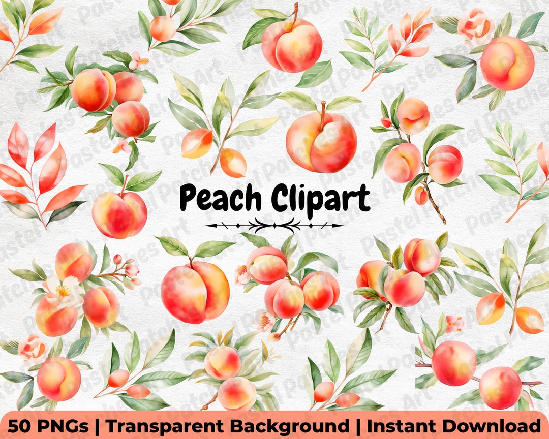 Peach Watercolor Clipart, Fresh Peach PNG, Peach Tree Illustrations ...