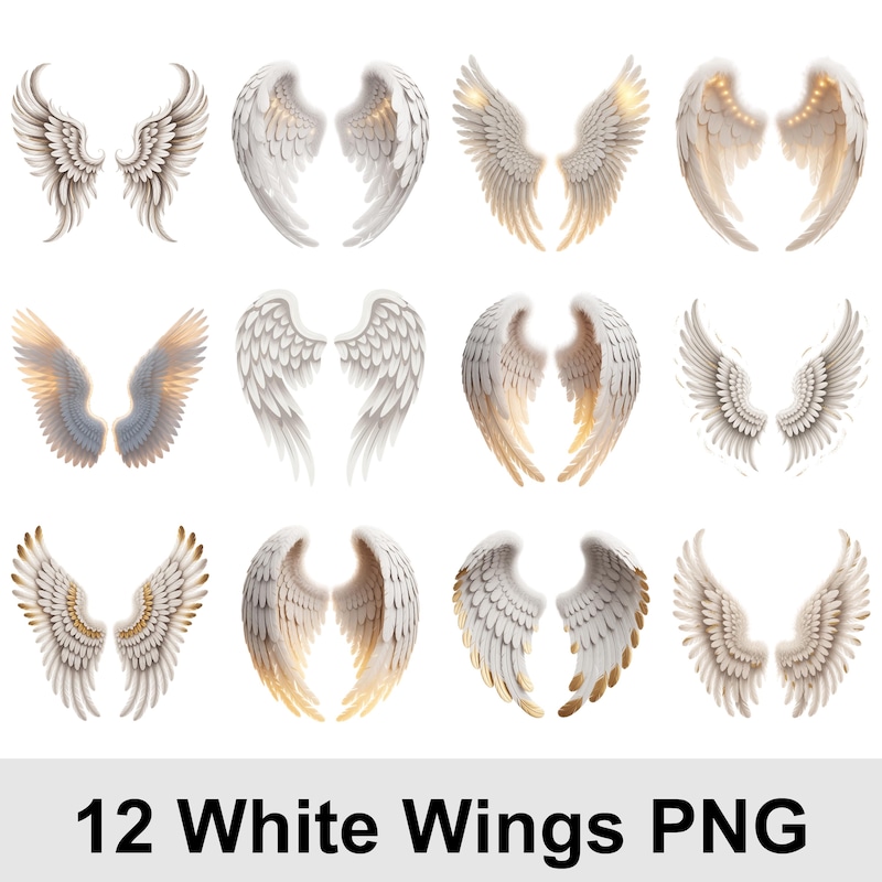 Feather Wings - Etsy