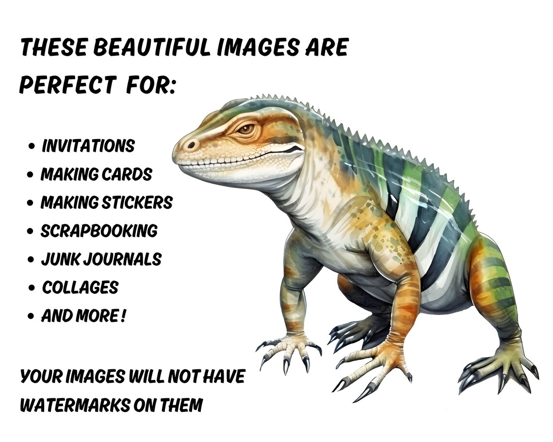 Watercolor Reptiles Clipart | Lizard, Snake & Turtle Art Bundle ...