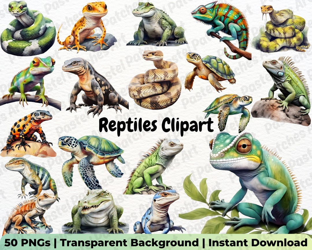Watercolor Reptile Clipart PNG Bundle: Chameleon, Lizard, Snake, Turtle ...