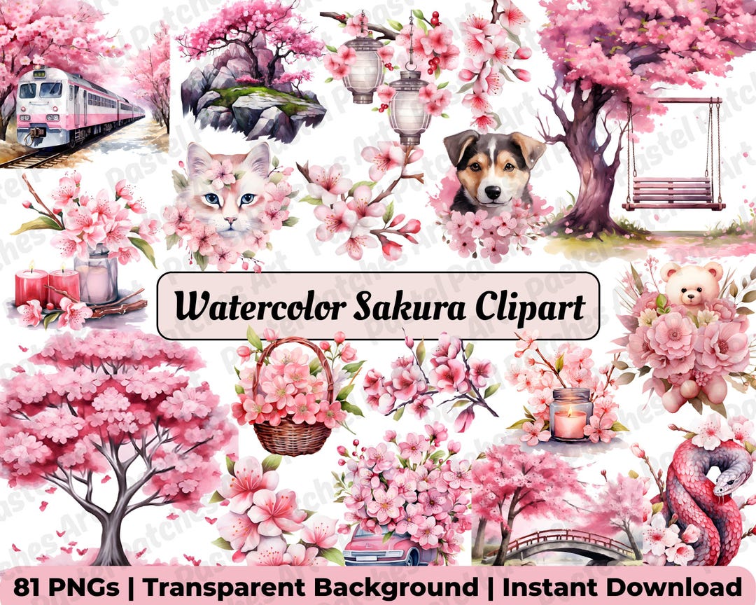 Watercolor Sakura Clipart PNG | Cherry Blossom Floral Design | Spring ...