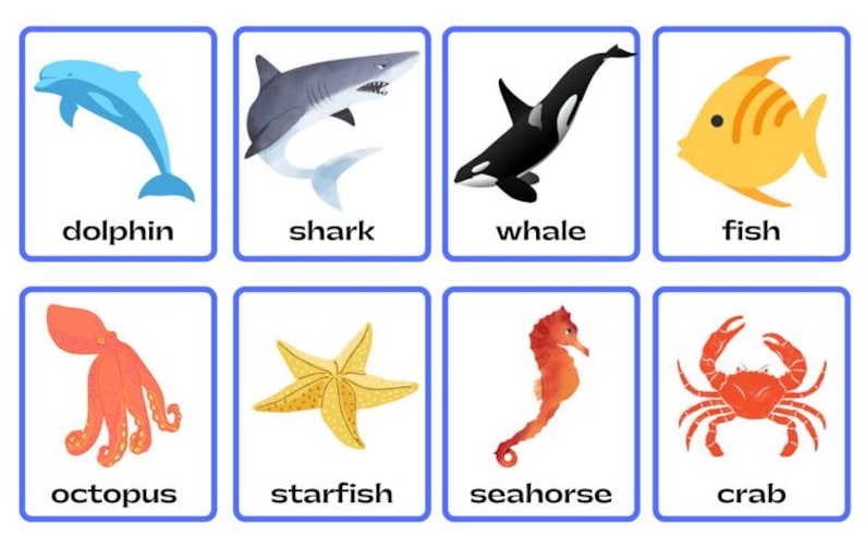 Sea Animals Cards - Etsy